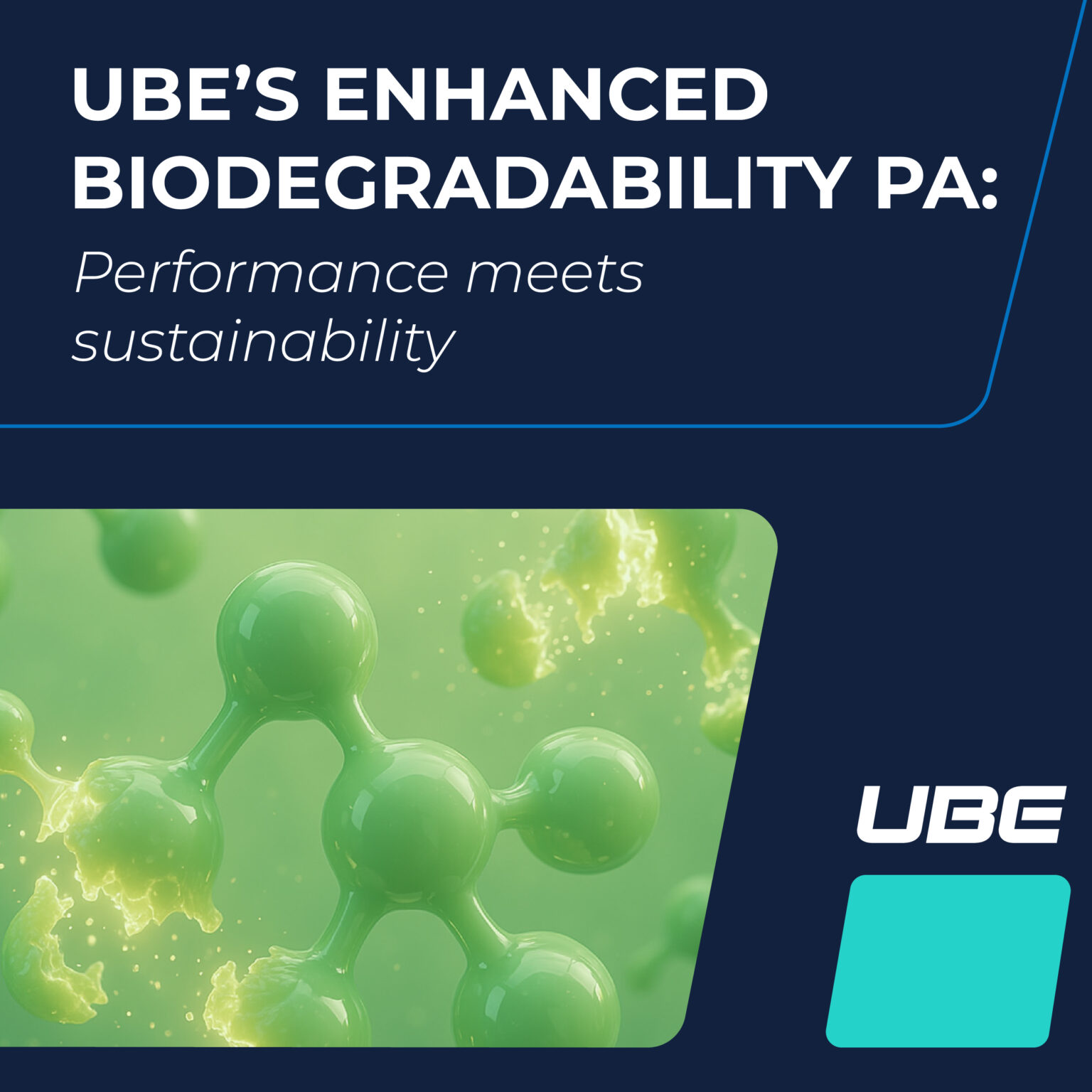 Enhanced Biodegradability PA: Sustainable Nylon by UBE